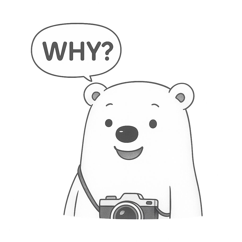 keito 経営日記 2025/6 第1回 なぜkeitoは事業を始めたのか - Shirokuma Camera